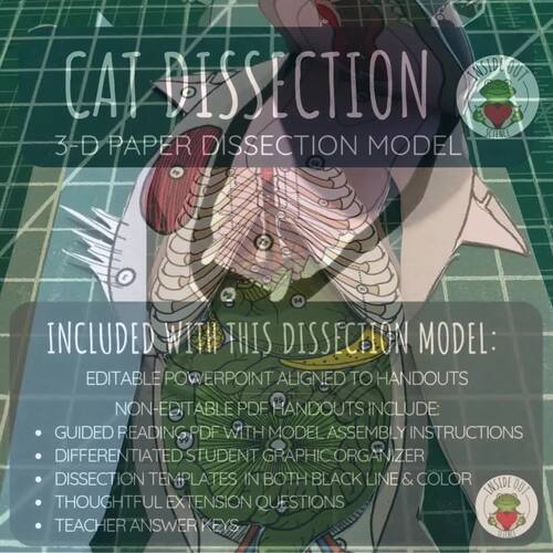 Cat Dissection Zoology | Biology 3-D Anatomy Paper Dissection Model ...