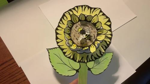 3D Sunflower by The Amazing Ms Madden | Teachers Pay Teachers