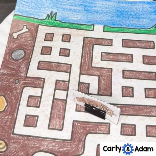 Cicada Life Cycle STEM Challenge Cicada Emergence, Broods, Bug Science