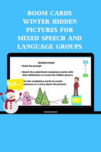 BOOM CARDS WINTER HIDDEN PICTURES FOR MIXED SPEECH AND LANGUAGE GROUPS