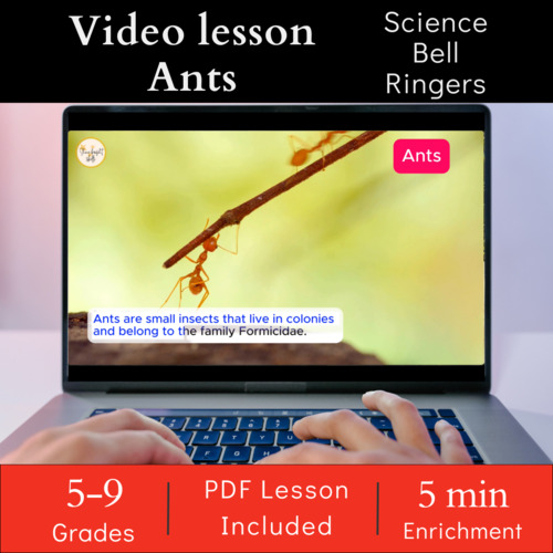 Science bell ringer video (4 min) - Ants - Middle school by Shine ...