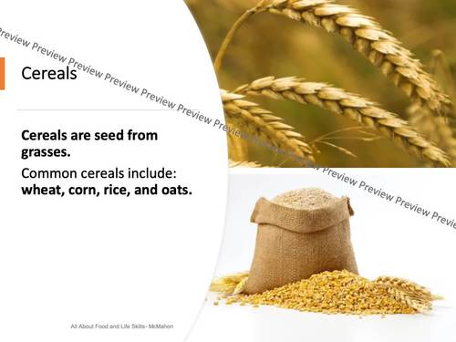 All About Cereal Products/Grains/Carbohydrates- Digital or Print