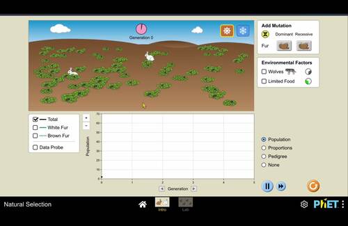 Natural Selection Virtual Lab Worksheet | PhET Simulation | Genetics ...