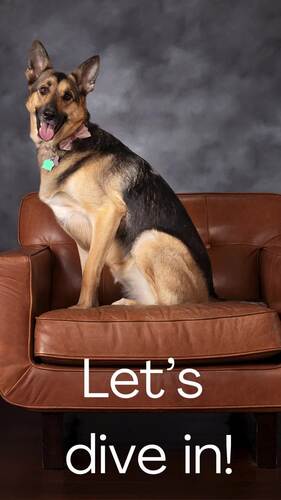 Vowel Diphthongs: au and aw – Phonics Word Hunts, Games, & Reading Practice