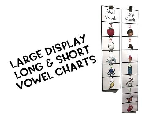 Long & Short Vowel Packet by Link 2 Teach | TPT