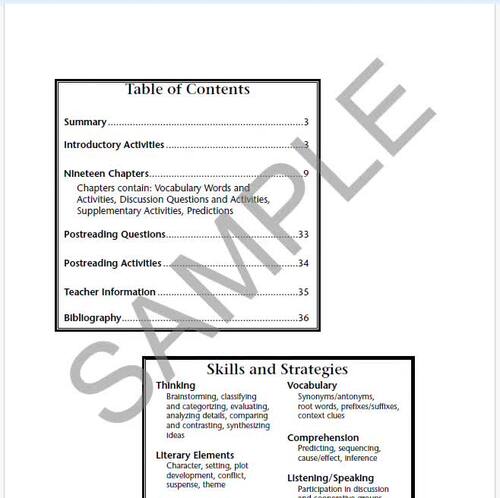 Banner in the Sky Novel Units® Teacher Guide Novel Study | TPT