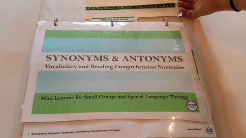Synonyms and Antonyms: Vocabulary and Reading Comprehension Strategies