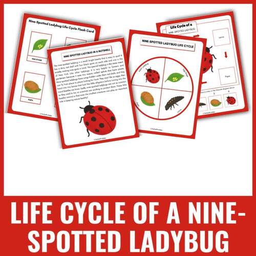 Nine-Spotted Ladybug Life cycle- Insect science unit study with fun facts!