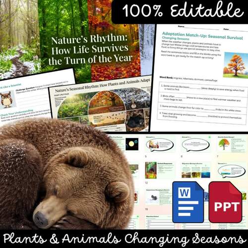 Plants and Animals Respond to Changing Seasons | K–4 Science Worksheets ...