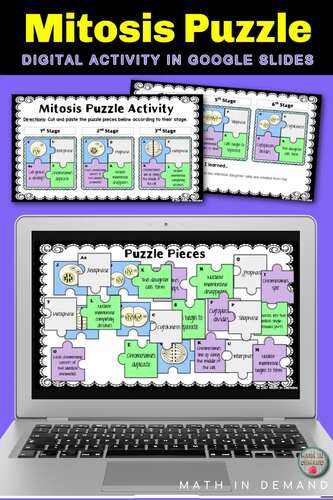 Mitosis Puzzle Activity in Google Slides by Math in Demand | TPT