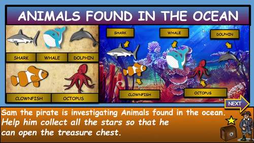 Animals found in the Ocean Powerpoint + Worksheets. Ocean Habitats