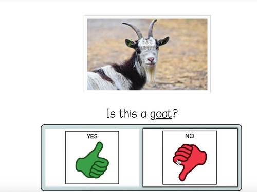 Yes No Questions for Animals Boom Cards™ Real Photos by Speech Your Mind