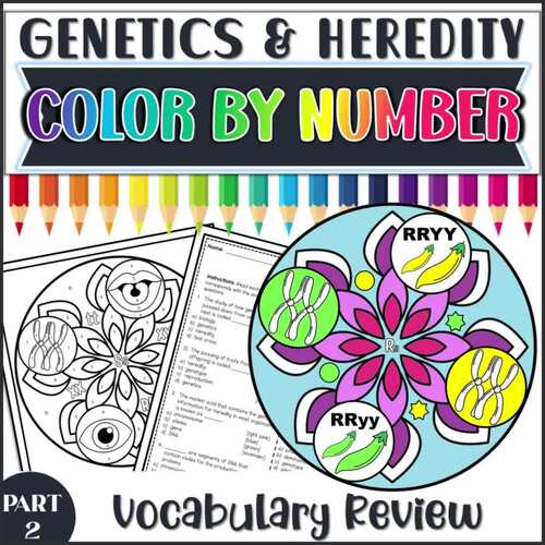 Genetics and Heredity Color by Number|Inheritance of Traits|Mendelian ...