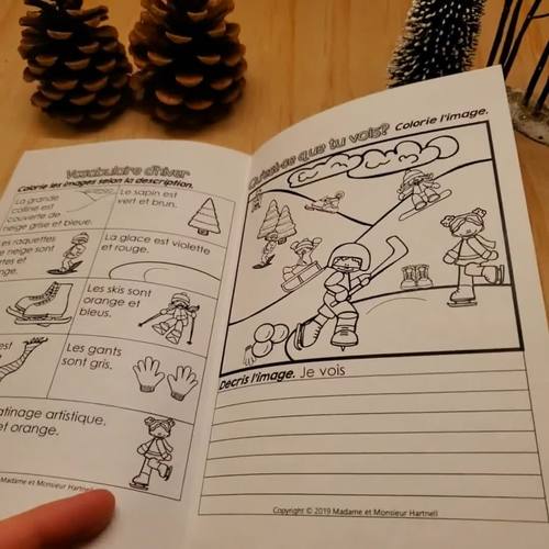 French Winter Activity Booklet Version 2 - Livret d'hiver | TPT
