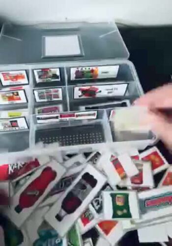 Special Education Task Box | Category Sorting | Life Skills Activity