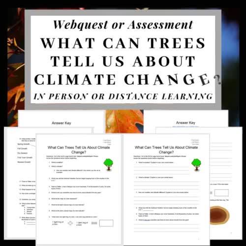 Evidence for Climate Change: What Can Trees Tell Us About Climate Change?