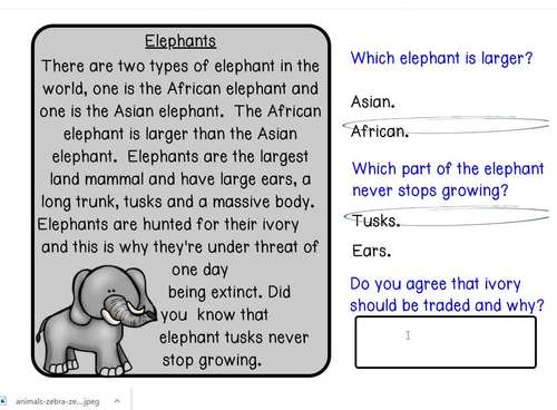 Animal Reading Comprehension - Boom Cards | TPT