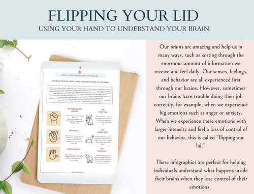 Flipping your lid, brain regions activity, self regulation, trauma DBT EMDR
