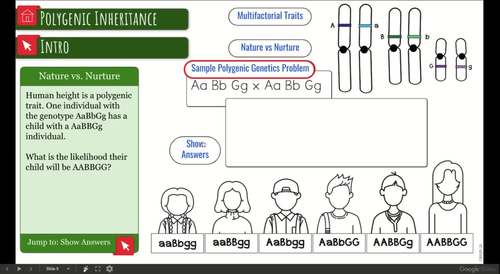 Polygenic Inheritance Interactive Diagram by Science With Mrs Lau