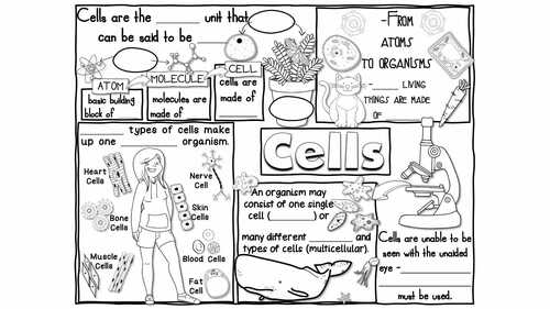 Cells Doodle Notes, Quiz, and Slides | Cell Structure, Living vs ...
