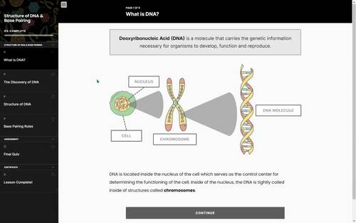 Structure of DNA & Base Pairing *LMS Course SCORM file* | TPT