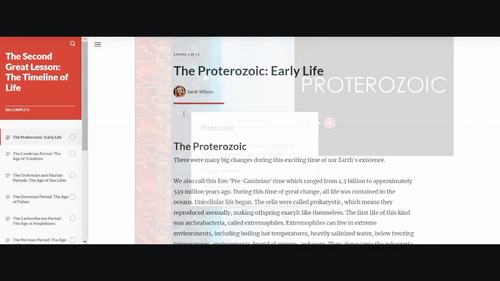 Timeline of Life Second Great Lesson Montessori Digital Edition No Logins