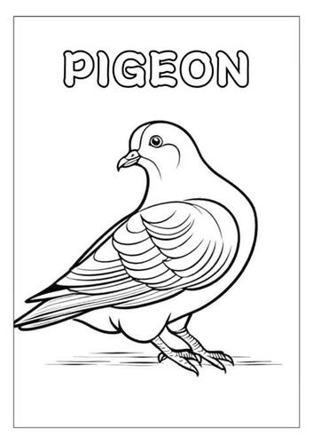 cute pigeon Printable Cute coloring sheet,Kids,illustration,Prek, page