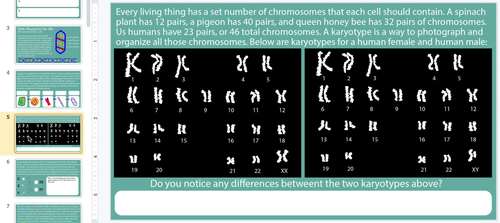 DNA and Heredity- Virtual Learning by Thinking Machines | TPT