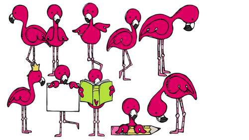 Flamingos clip art bird clip art COLORED Version by Melonheadz Clipart