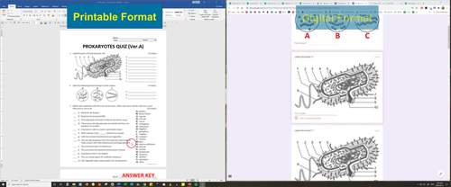 Bacteria Quiz - Two Versions | Editable, Printable PDFs & Google Drive ...