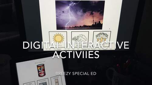 Groceries ⋅ Digital ⋅ Interactive PDF, Boom Cards and Quiz for Special Ed