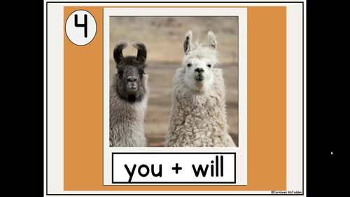 Llama-Rama Contractions | Write the Room Activity | Fun Grammar Center