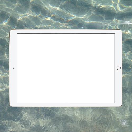 Find the ocean shapes | BOOM CARDS with audio | STAR by LOL - Life of ...