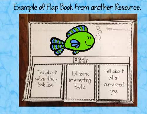 Sea Turtles Writing Ocean Animals Kindergarten, First Grade & 2nd