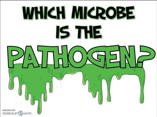 Pass the Germs- Investigating Pathogens! Infection Control- Health Science