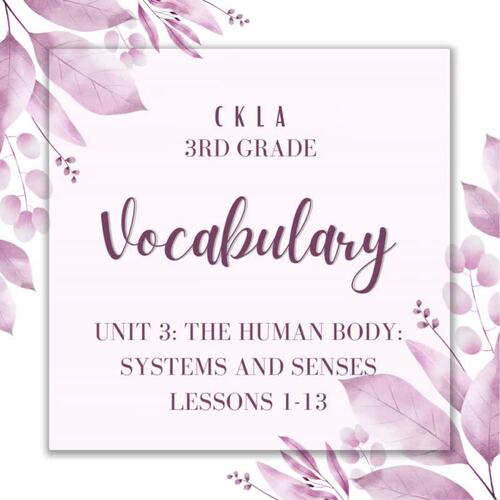 3rd Grade CLKA Unit 3 Vocabulary Posters by Miss Matthews Madness