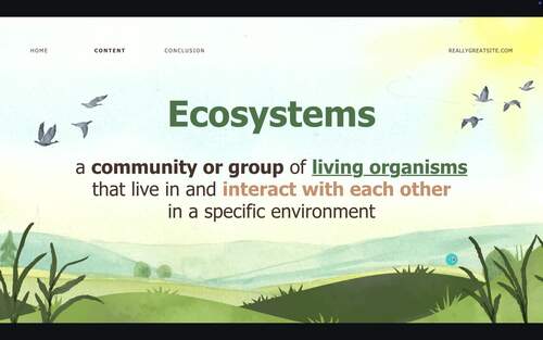 Ecosystems & Food Chains Science Lesson | Grades 2–4 by Little Hands ...