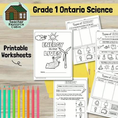 Grade 1 Science Workbooks (NEW 2022 Ontario Curriculum) | TPT