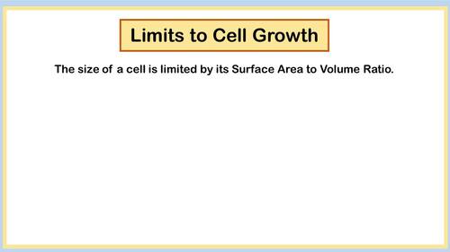 Cell Cycle, Mitosis & Meiosis Unit: Differentiated PPT, Notes & Quizzes