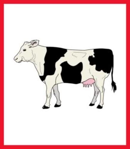 Farm Animals Shadow Matching Game 3 part Pictures | TPT