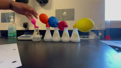 Reaction Stoichiometry Introduction Lab Balloon Activity by Noel Rods
