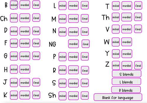 Cat Boom Cards for Speech Therapy by Speech Dreams | TPT