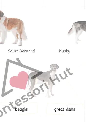 23 Dog Breeds Montessori 3 Part Cards | Educational Flashcard ...
