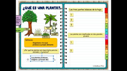 Las Plantas Libreta Interactiva Print and Digital by Latinflower Lessons
