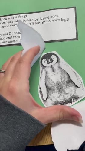 Oviparous Animals Poem and Egg Craft by Tessa Thorne | TpT