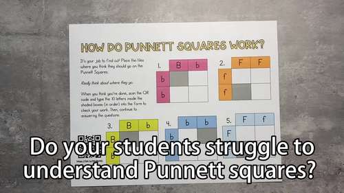 Introduction to Punnett Squares Investigation by Super Sass and Science ...