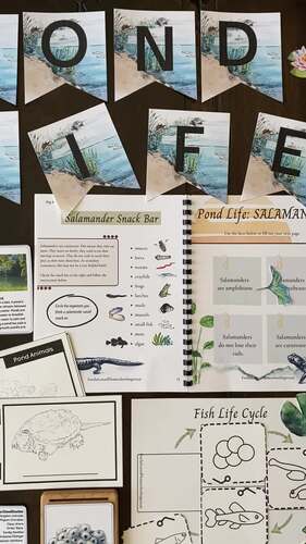 Pond Life Nature Study Unit by For the Love of Homeschooling | TPT