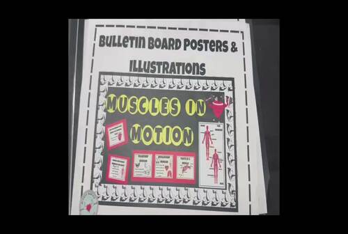 Muscles in Motion – Bulletin Board Kit for Elementary PE & Health