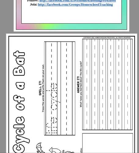 Bat Life Cycle Activity Sheets by HomeschoolingPreschool | TPT