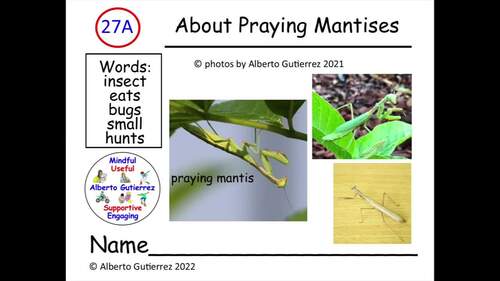 Nonfiction: About Praying Mantises #27A by ALBERTO GUTIERREZ | TPT